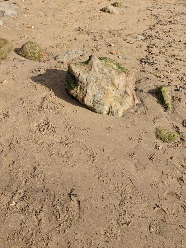 Finding Fossils on the Isle of Wight - Hands-on Heritage