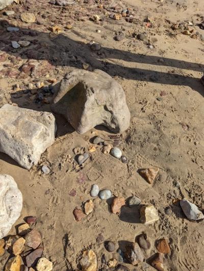 Finding Fossils on the Isle of Wight - Hands-on Heritage