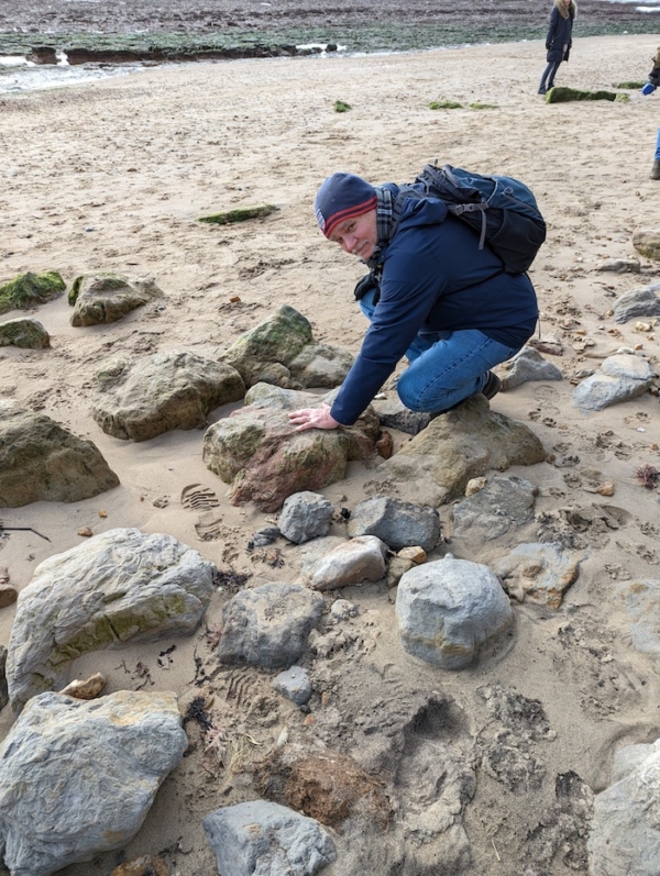 Finding Fossils on the Isle of Wight - Hands-on Heritage