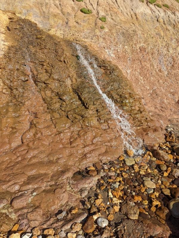 Finding Fossils on the Isle of Wight - Hands-on Heritage