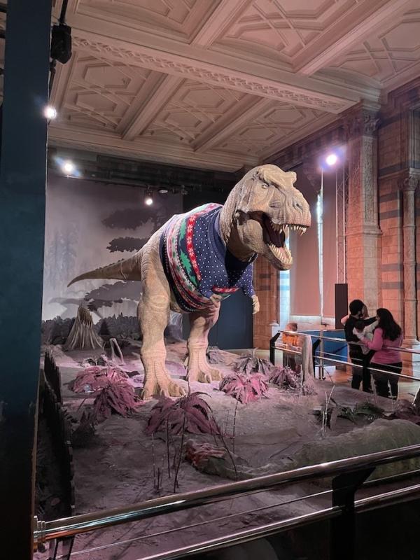 Finding Fossils on the Isle of Wight - Hands-on Heritage
